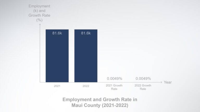 Maui Population 2025 - Current Trends and Demographic Insights - North ...