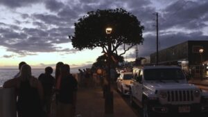 Maui Population 2025 - Current Trends and Demographic Insights - North ...
