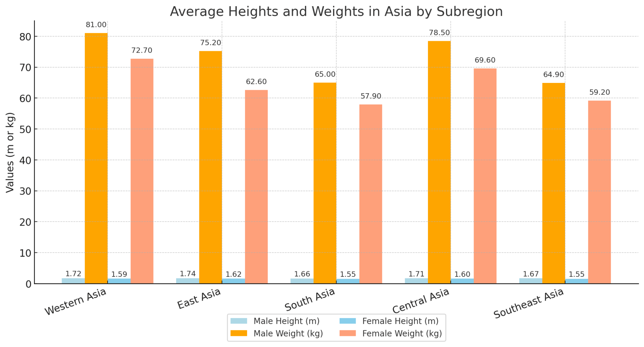 What Is the Average Human Height, and How Has It Changed Over Time ...