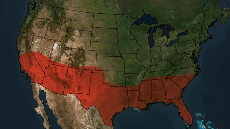 All 50 US States Ranked by GDP - The Complete 2025 Economic Power List ...