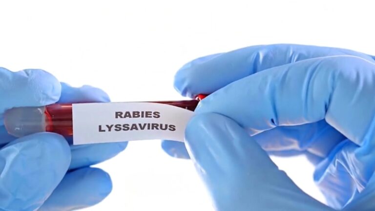 Tetanus, Rabies, and Routine Vaccines - What Adults Forget to Update ...